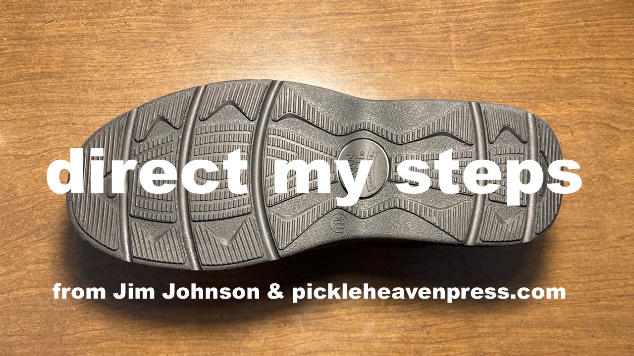 direct my steps – Pickle Heaven Press-James R. Johnson