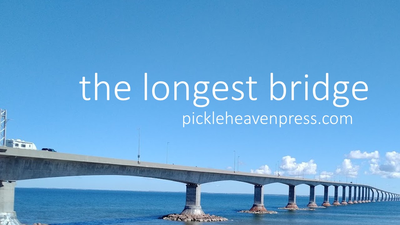 the longest bridge – Pickle Heaven Press-James R. Johnson