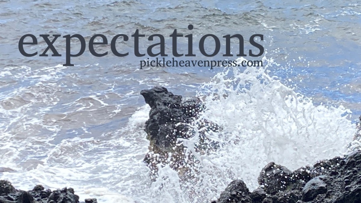 expectations – Pickle Heaven Press-James R. Johnson